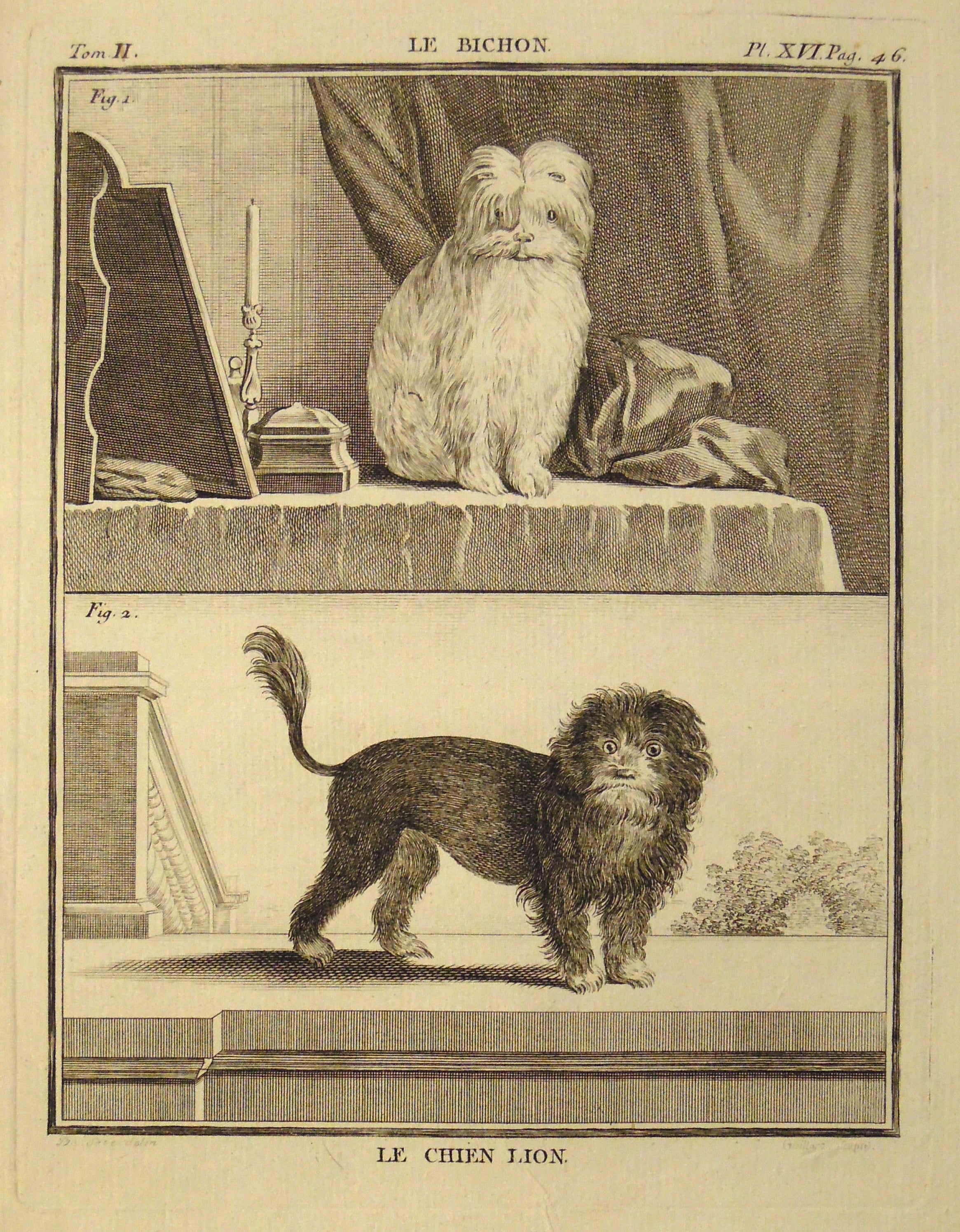 Jacques De Seve – Victoria Cooper Antique Prints