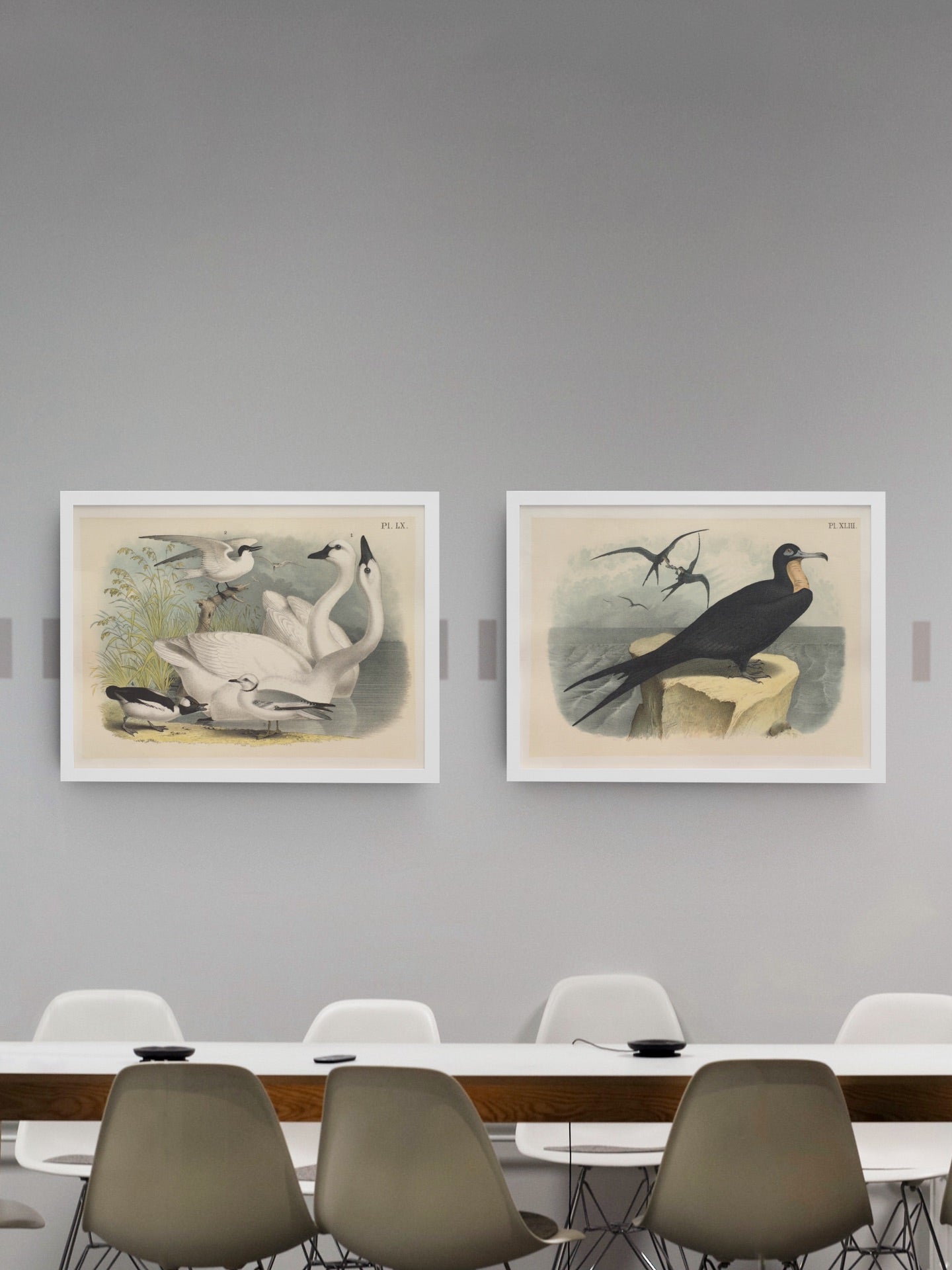 Victoria Cooper Antique Prints, Maps and Books