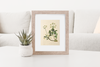 Victoria Cooper Antique Prints, Maps and Books